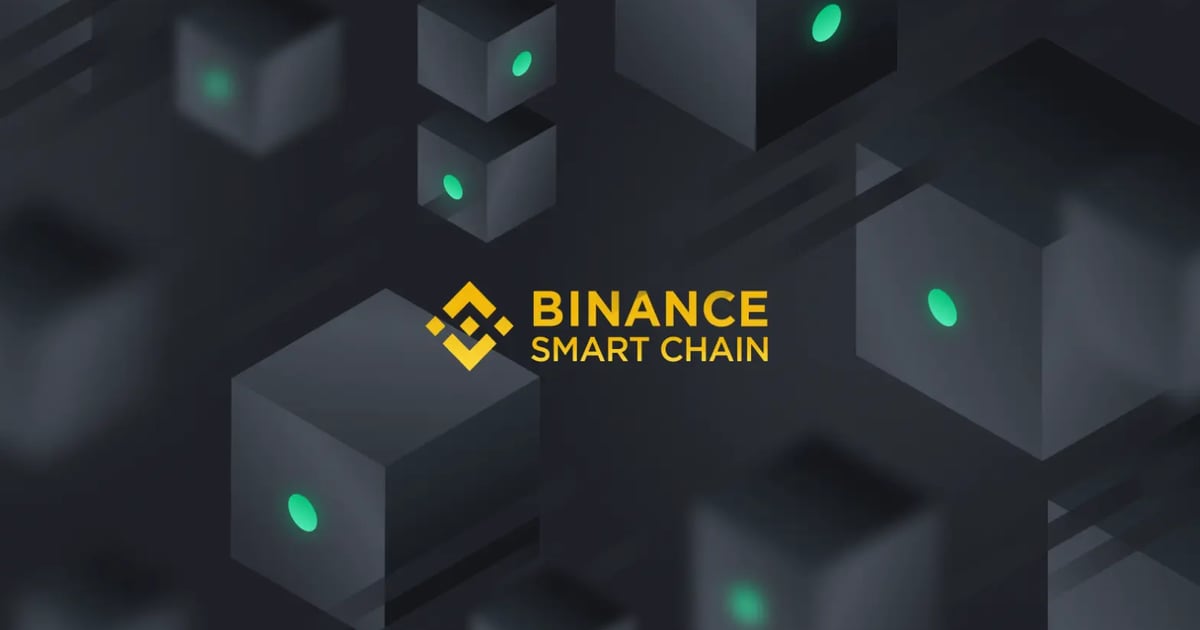 💰 如何为 Newsletter 开启 BSC 区块链支付 | Quaily 中文